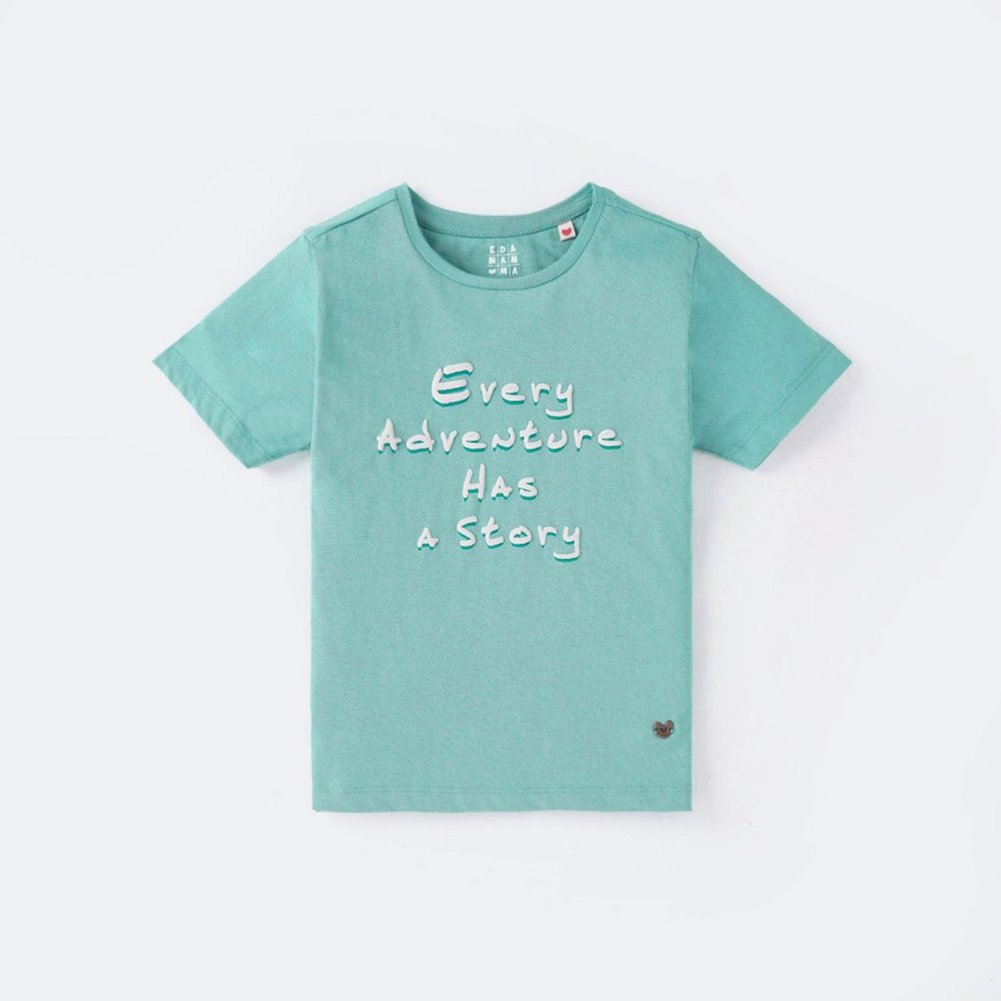 Buy ED-A-MAMMA Boys Printed Regular Fit Crew Neck T-shirt from Ed-A ...