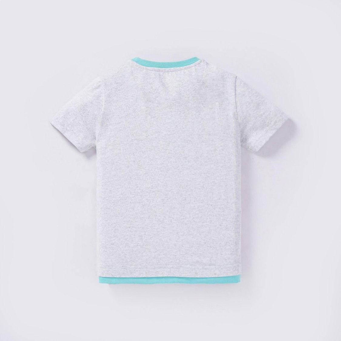 Buy ED-A-MAMMA Boys Heathered Printed T-shirt from Ed-A-Mamma at just ...