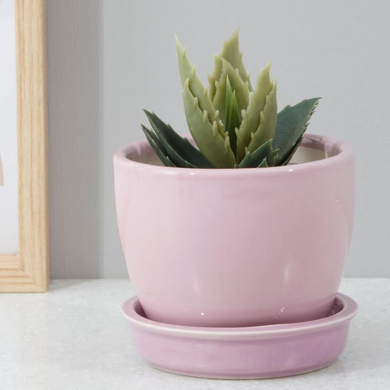 Buy Pots and Planters Online @ Best Prices Online | Home Centre