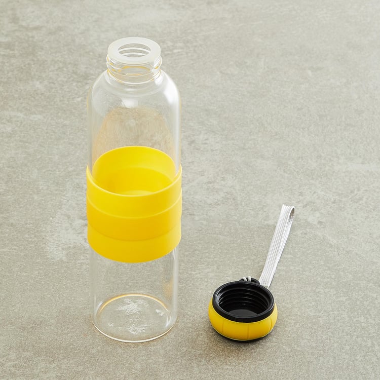 Buy Atlantis-Caspian Solid Bottles - Glass - Bottle - 7 cm L x 24 cm H ...