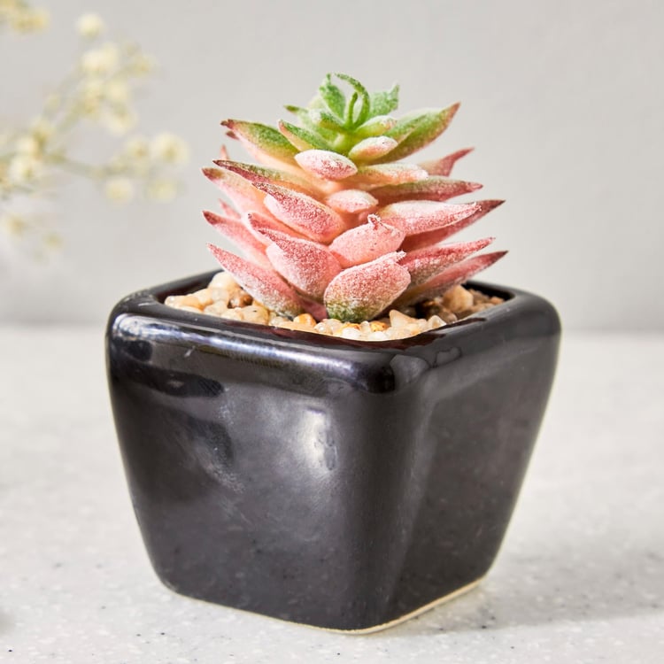 Buy Garnet Garden Artificial Fred Succulent in Ceramic Planter from ...