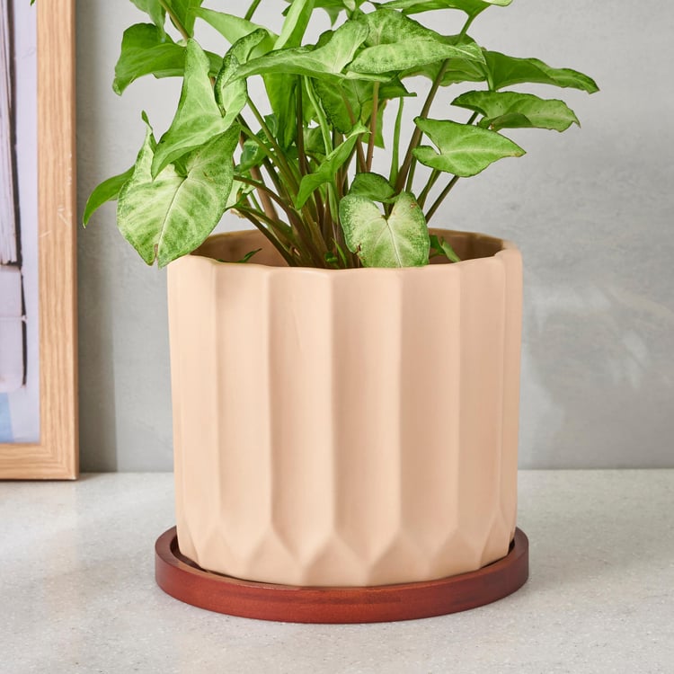 Buy Gloria Ceramic Planter with Wooden Stand from Home Centre at just ...