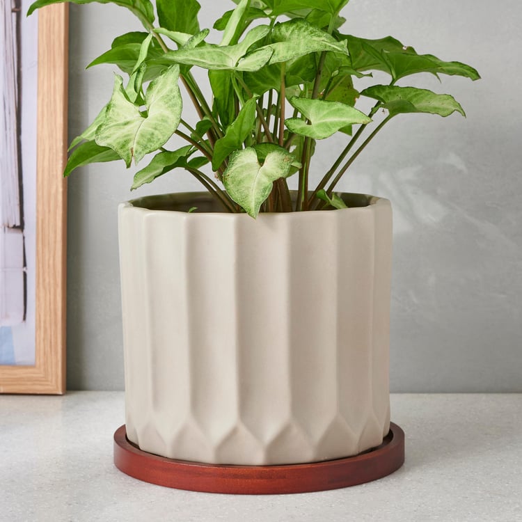 Buy Gloria Ceramic Planter with Tray from Home Centre at just INR 999.0