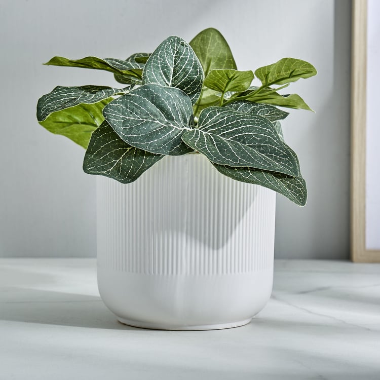 Buy Gloria Argil Ceramic Ribbed Planter from Home Centre at just INR 599.0