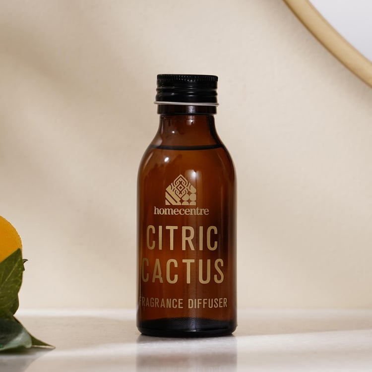 Buy Enchanted Citrus Cactus Diffuser Oil - 100ml from Home Centre at ...