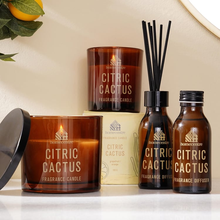 Buy Enchanted Citrus Cactus Diffuser Oil - 100ml from Home Centre at ...